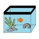 Goldfish Tank Size Guide | The Goldfish Tank