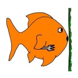 Do goldfish eat algae? And is eating algae bad for them?