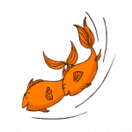 How to train your goldfish: Teach fish to eat from your hand and do tricks