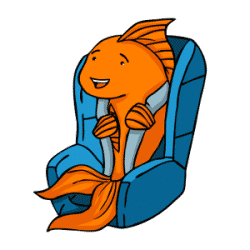 How to safely transport goldfish | The Goldfish Tank