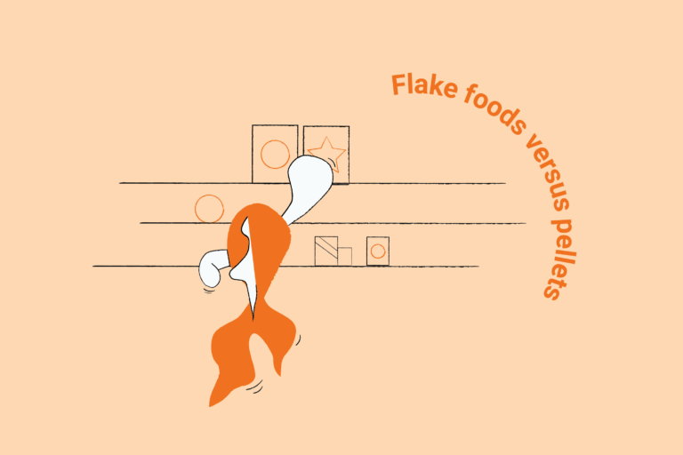 Flakes vs Pellets: Which Goldfish Food Is Best for Health?