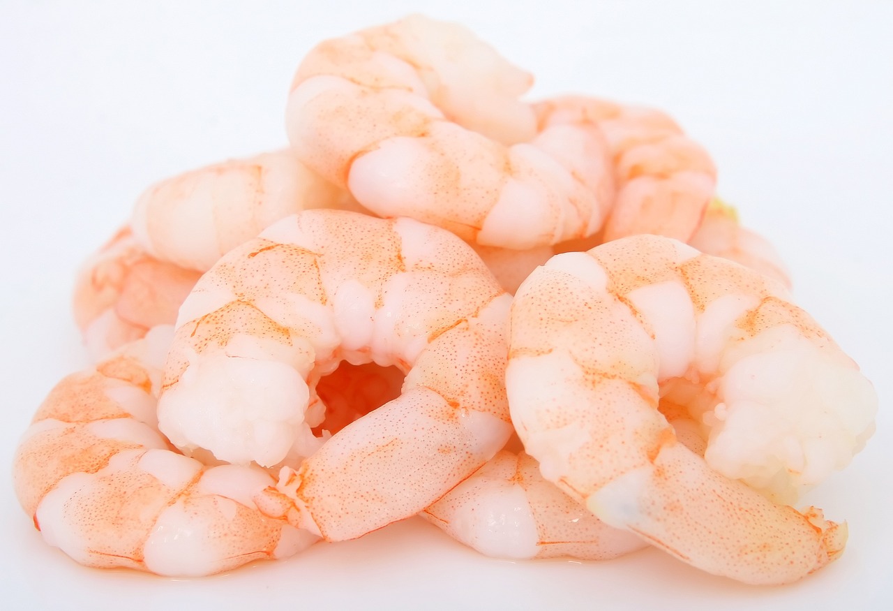 Can Goldfish Eat Shrimp | The Goldfish Tank