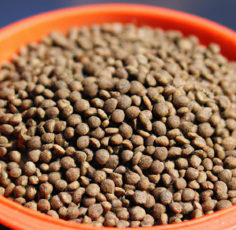 Can Goldfish Eat Turtle Food | The Goldfish Tank