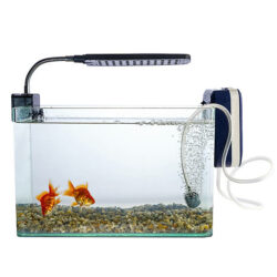 Goldfish Tank Cleaning | The Goldfish Tank