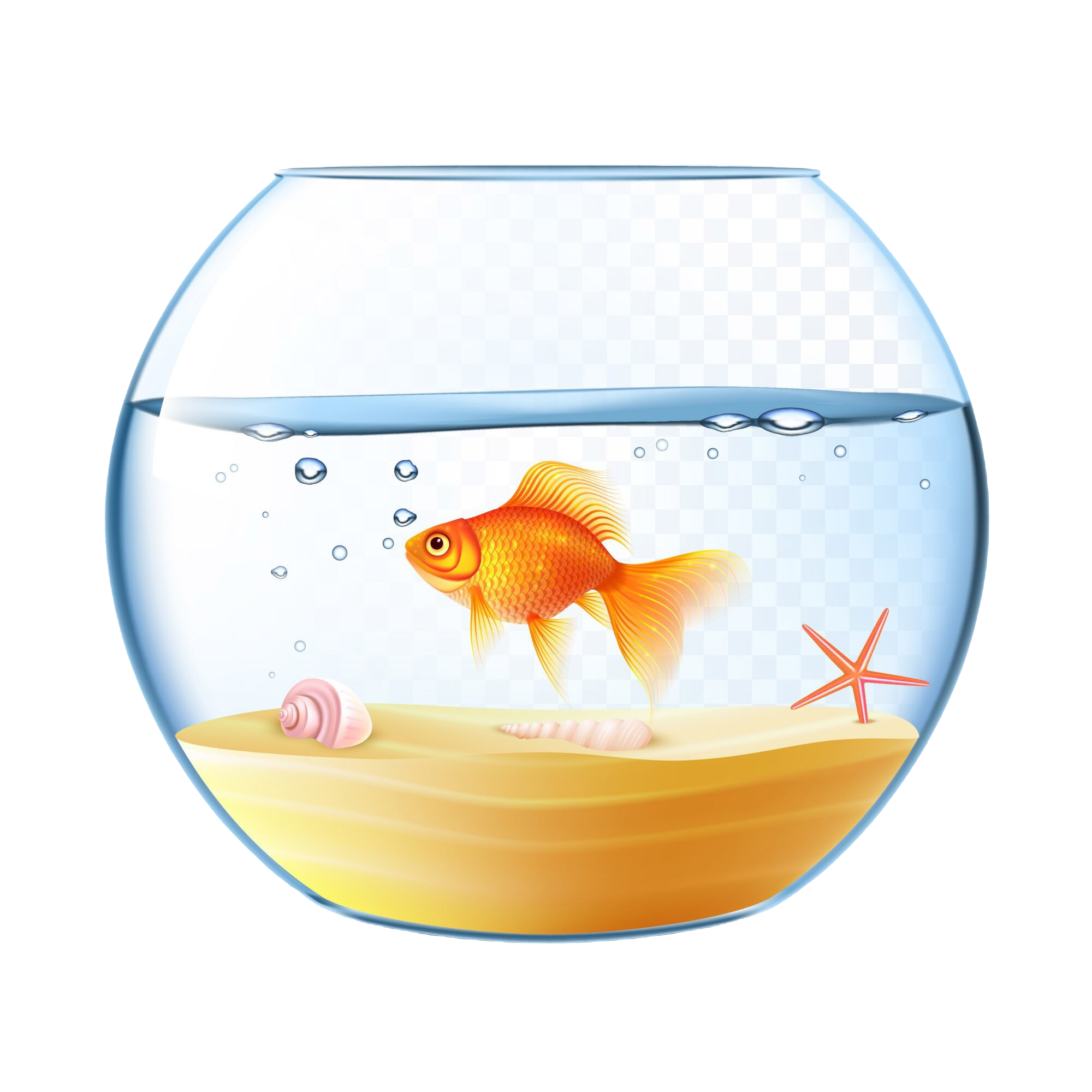 Large Goldfish Bowl | The Goldfish Tank